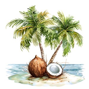 Watercolor Palm Tree Clipart: Tropical Beach Art (digital Download) - Etsy