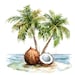 Palm Tree With Coconut Clipart, 12 JPG, Watercolor Tropical Clip Art ...