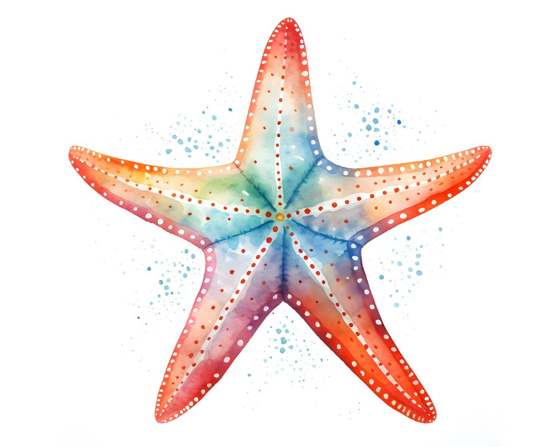 Watercolor Starfish Clipart, 24 High-quality JPG, Summer Clip Art ...