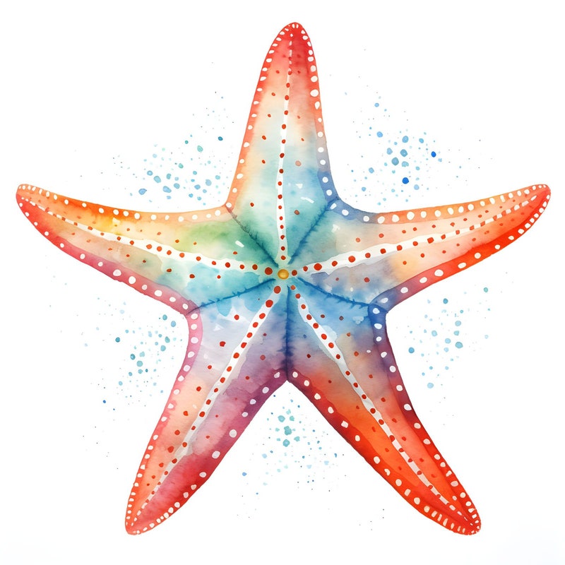 Starfish Clip Art - Etsy