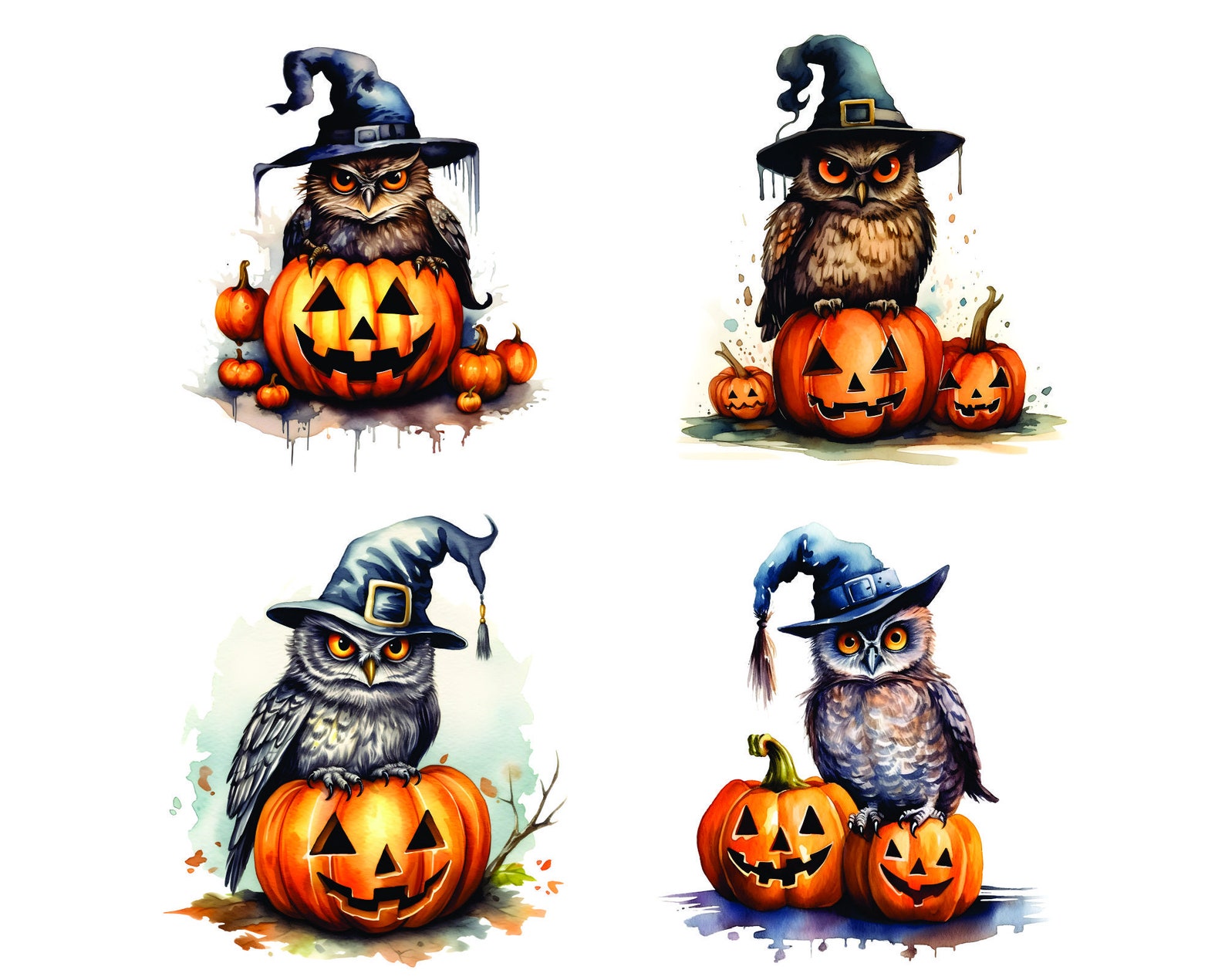 Halloween Witch Owl Clipart, 16 Jpgs, Watercolor Owl, Halloween Owl ...