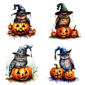 Halloween Witch Owl Clipart, 16 Jpgs, Watercolor Owl, Halloween Owl ...