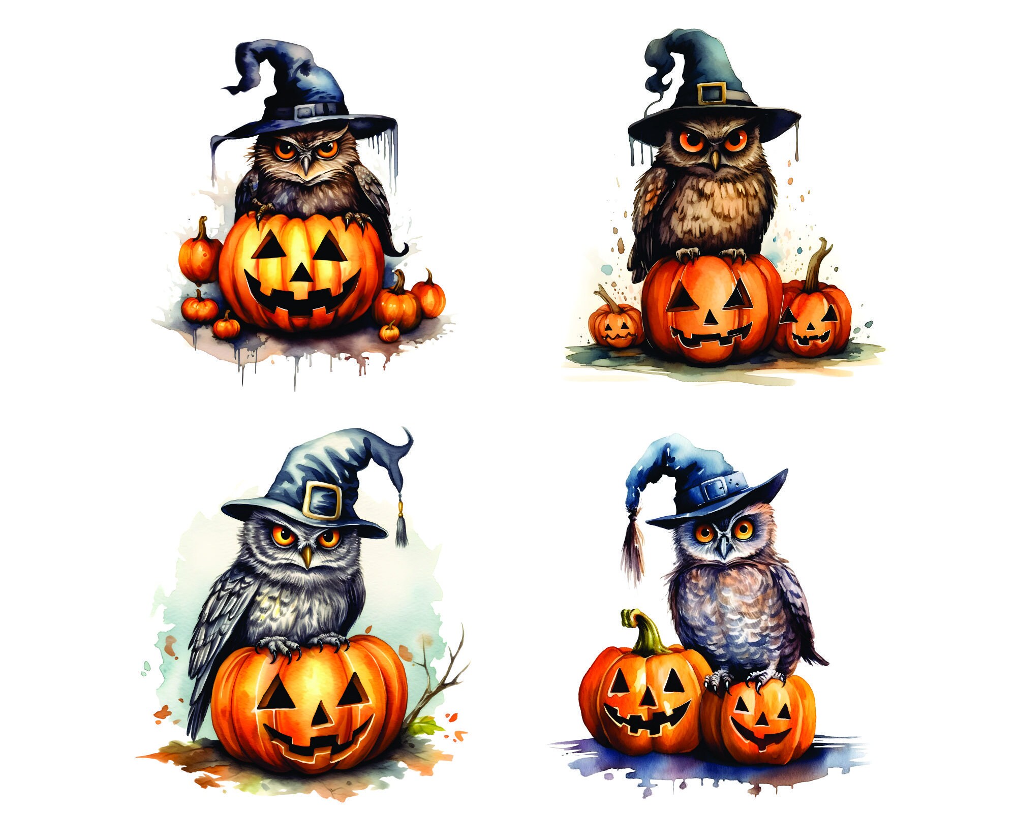 Halloween Witch Owl Clipart, 16 Jpgs, Watercolor Owl, Halloween Owl ...
