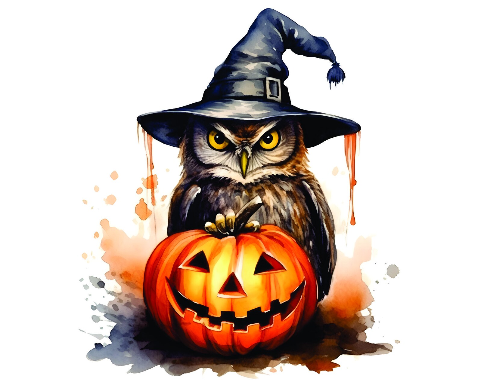 Halloween Witch Owl Clipart 16 Jpgs Watercolor Owl - Etsy
