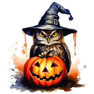 Halloween Witch Owl Clipart, 16 Jpgs, Watercolor Owl, Halloween Owl ...