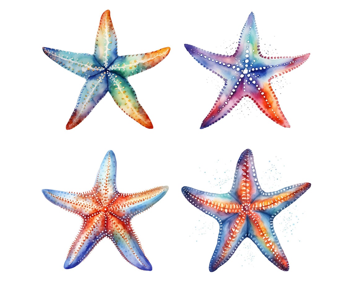 Watercolor Starfish Clipart, 24 High-quality JPG, Summer Clip Art ...