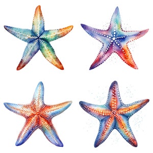 Watercolor Starfish Clipart, 24 High-quality JPG Files for Summer ...