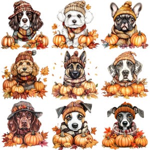 Autumn Dogs Clipart, 80 JPG, Fall Dog Bundle Clip Art, Paper Crafting ...