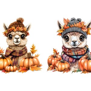 Autumn Alpaca Clipart, 14 JPG, Cute Fall Clip Art, Paper Crafting, Card ...