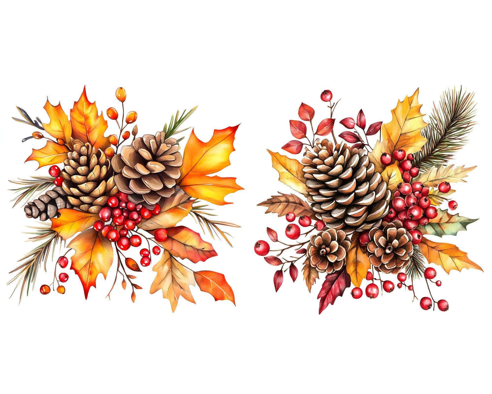 Watercolor Autumn Leaves Clipart: Pine Cones & Berries (JPG Digital ...
