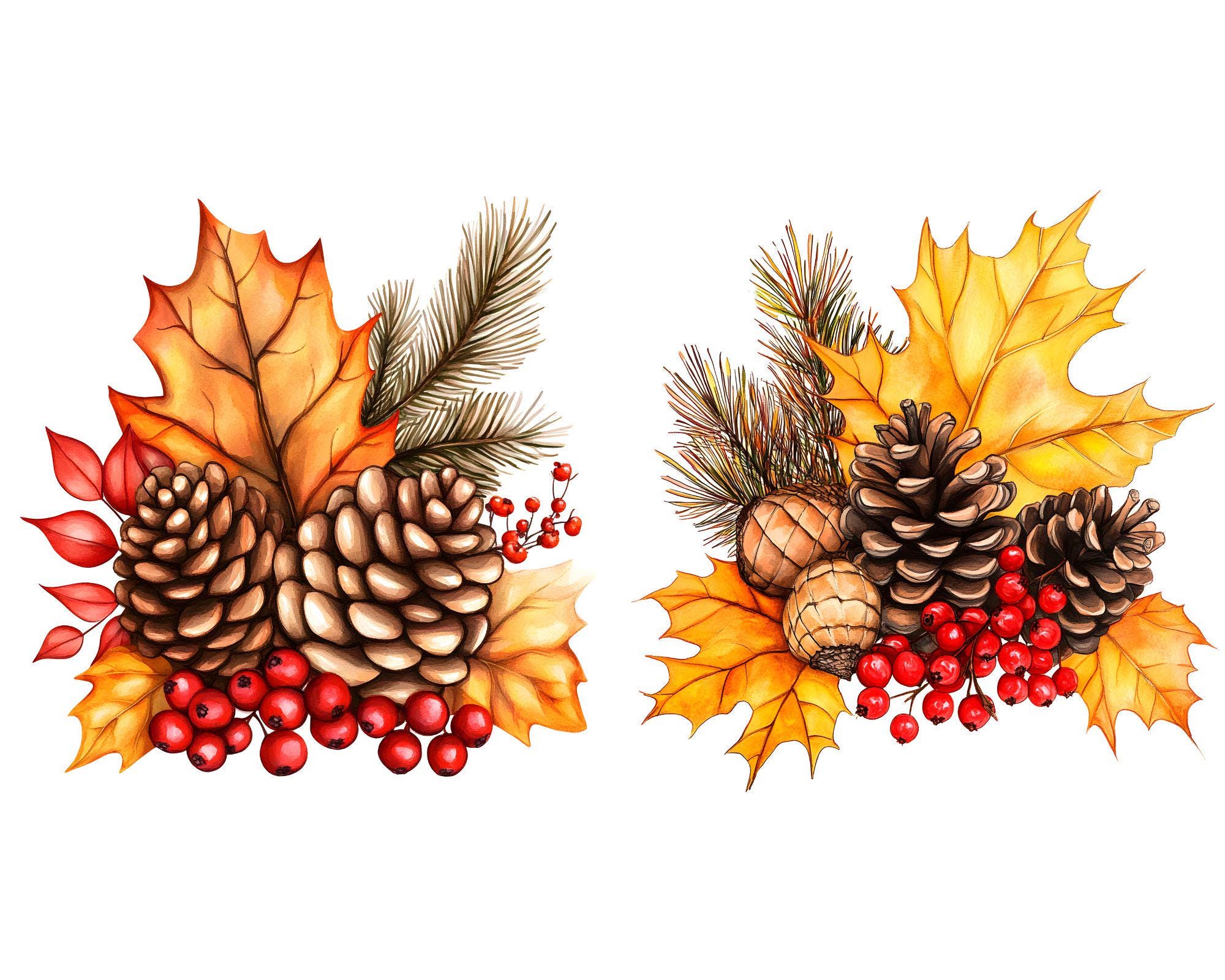 Watercolor Autumn Leaves Clipart: Pine Cones & Berries (JPG Digital ...