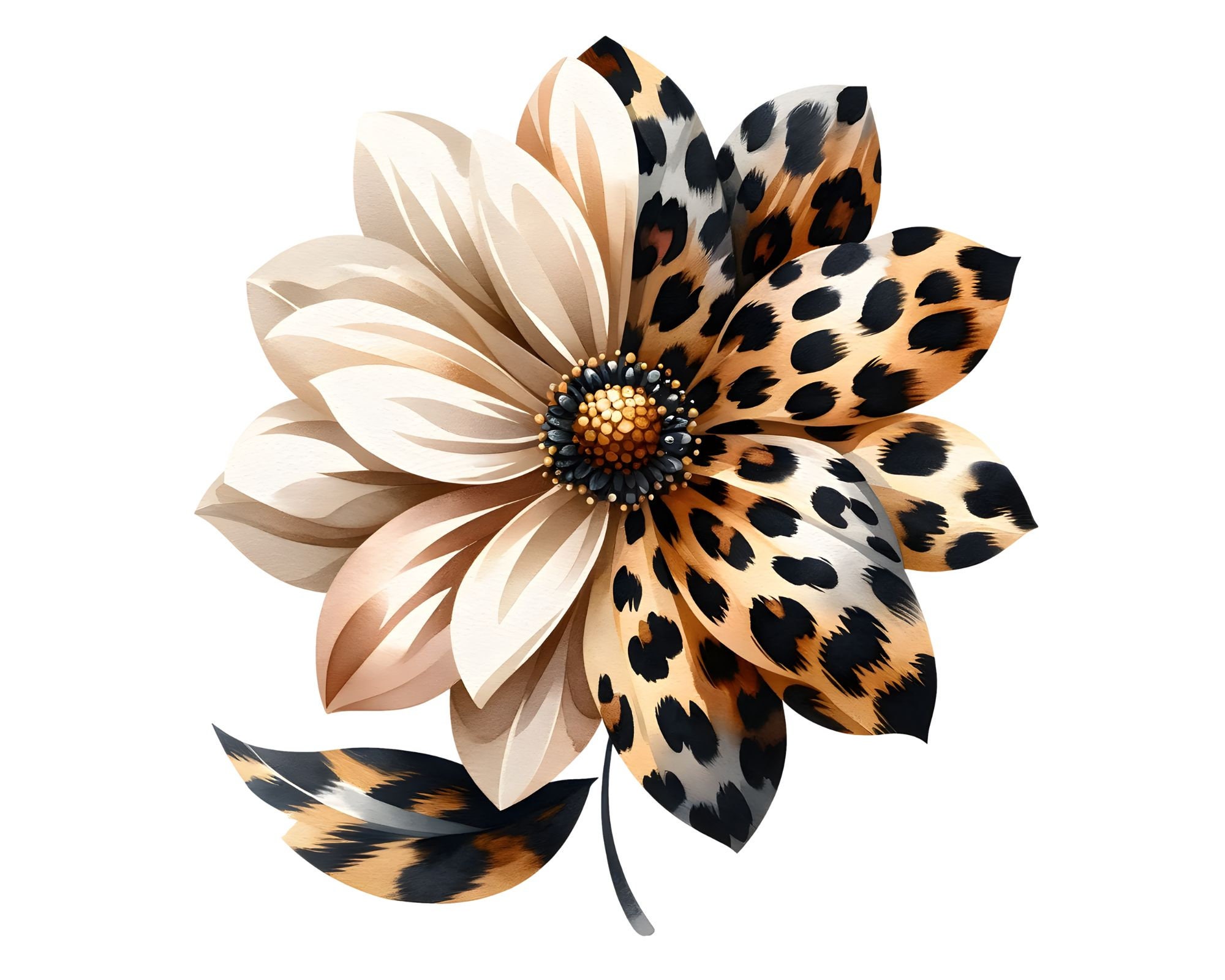 Leopard Flowers Clipart, 12 PNG, Watercolor Flower Clip Art ...