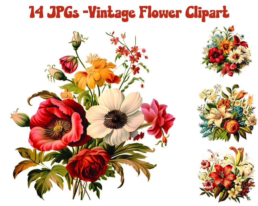 Vintage Flower Clipart, 14 Jpgs, Vintage Floral, Floral Clipart, Retro ...