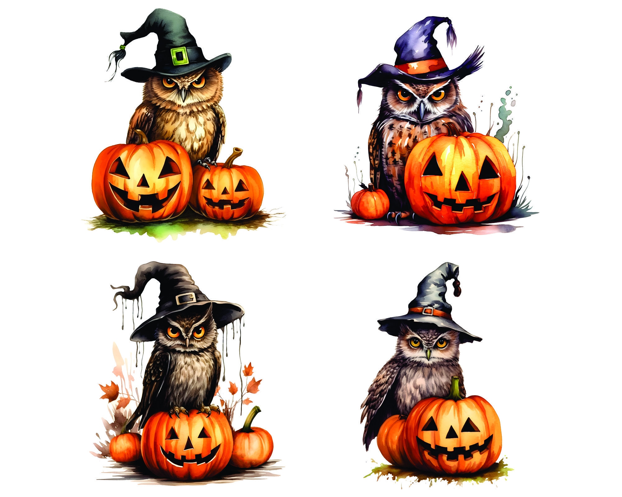 Halloween Witch Owl Clipart, 16 Jpgs, Watercolor Owl, Halloween Owl ...