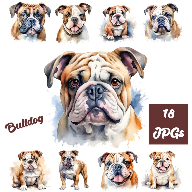 Bulldog Clipart, 18 Jpgs, Watercolor Bulldog, Bulldog Clip Art ...