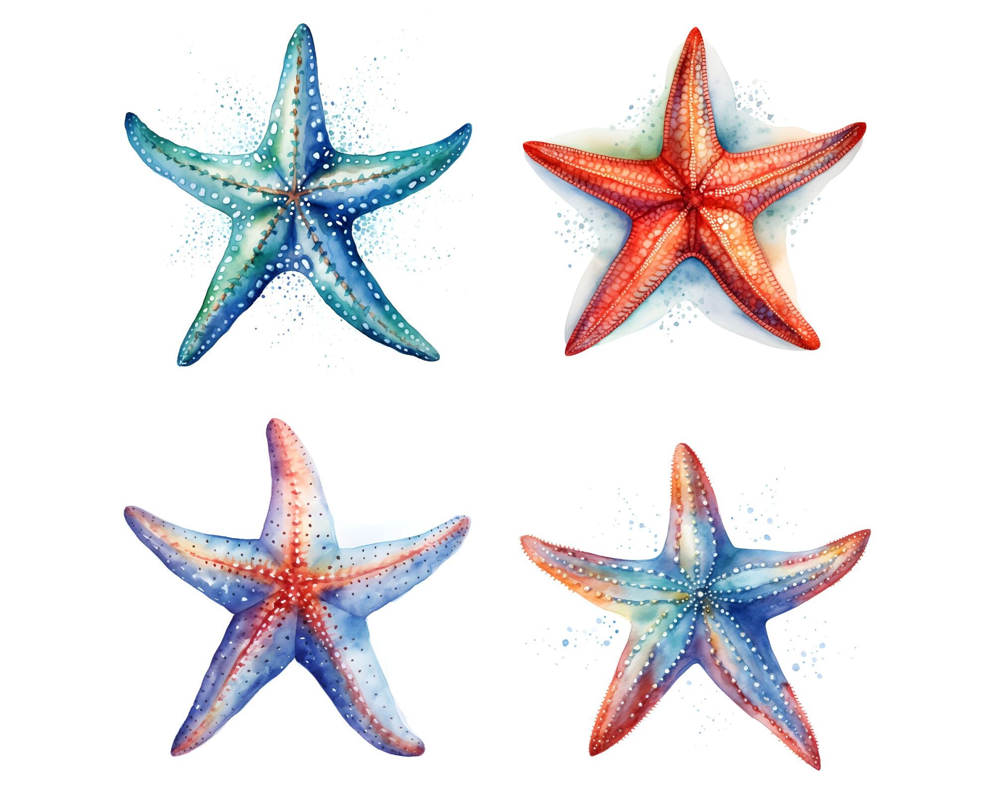 Watercolor Starfish Clipart, 24 High-quality JPG, Summer Clip Art ...