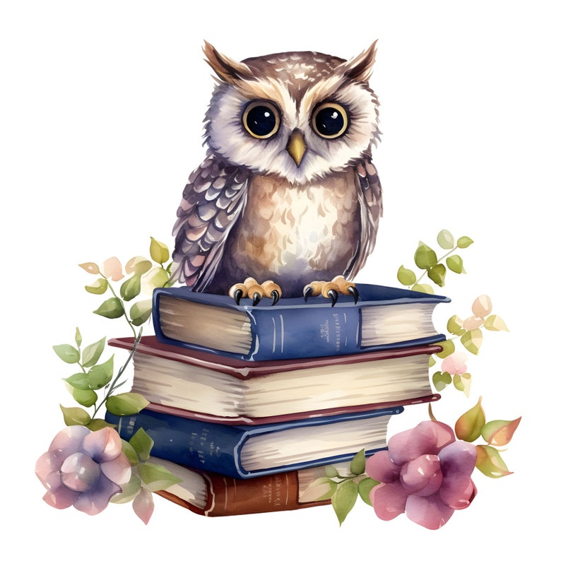 Owl Sitting on A Stack of Books Clipart, 16 Jpgs, Watercolor Books, Owl ...