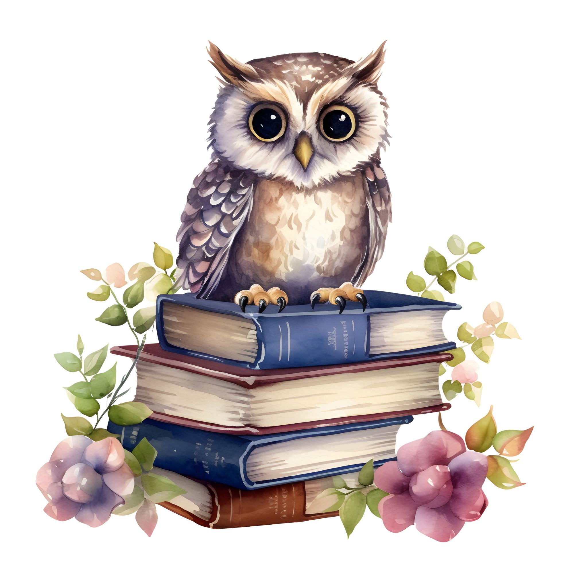 Stack Of Books With Owl Clip Art