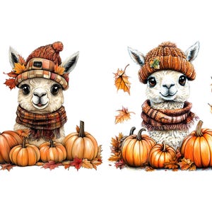 Autumn Alpaca Clipart, 14 JPG, Cute Fall Clip Art, Paper Crafting, Card ...