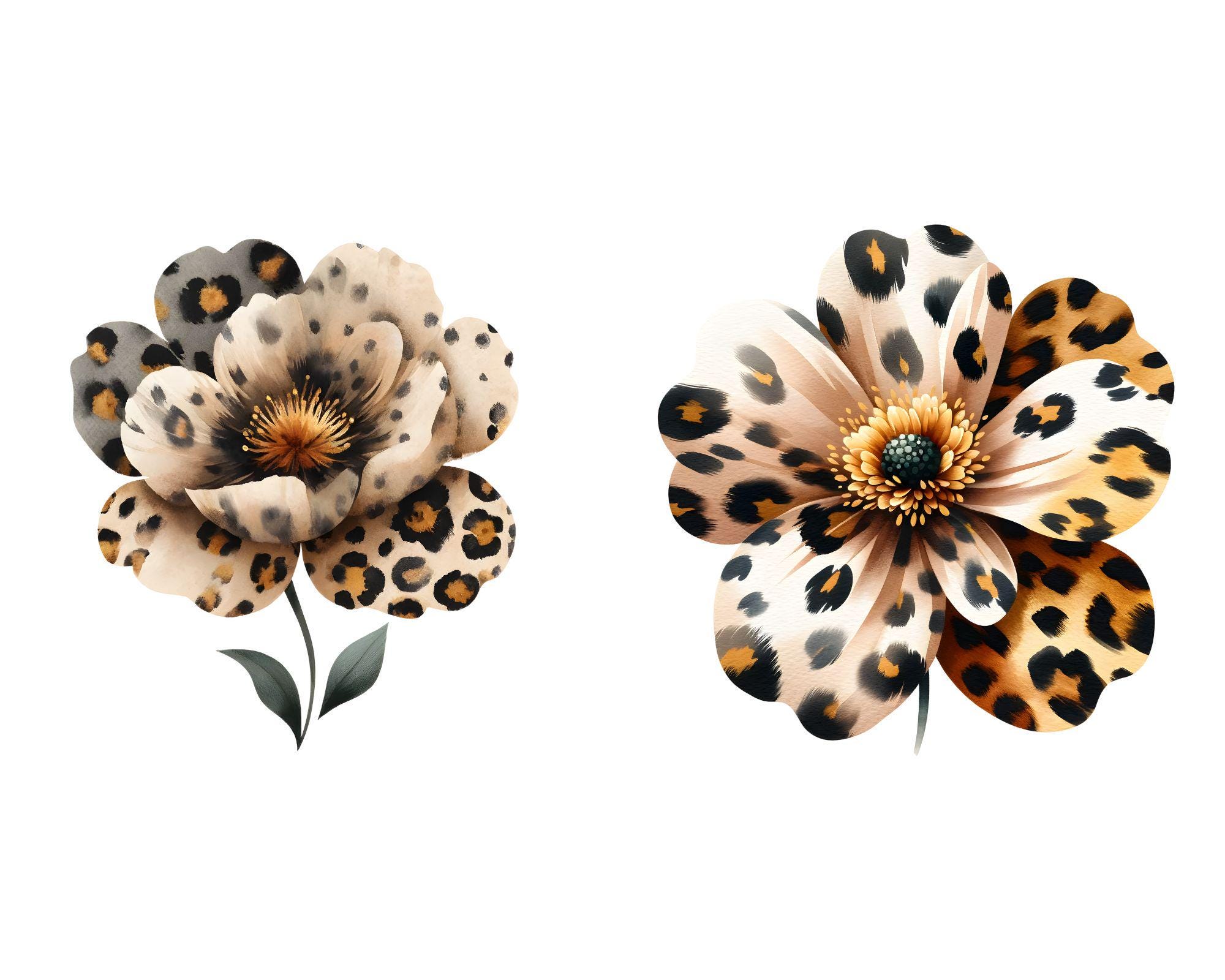 Watercolor Leopard Print Flower Clipart: Elegant PNG Design (digital ...