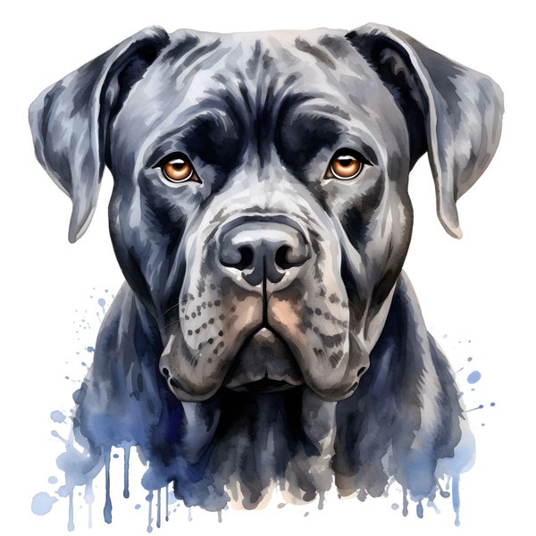 Cane Corso Png - Etsy