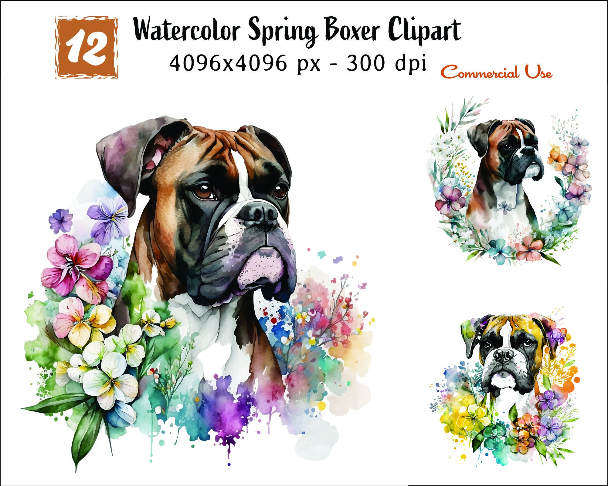 Set of 12 Boxer Clipart, Spring Boxer Dog With Flowers, Watercolor ...