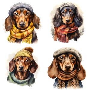 Dachshund Clipart, Png Clipart, Winter Clipart, Dog Clipart ...