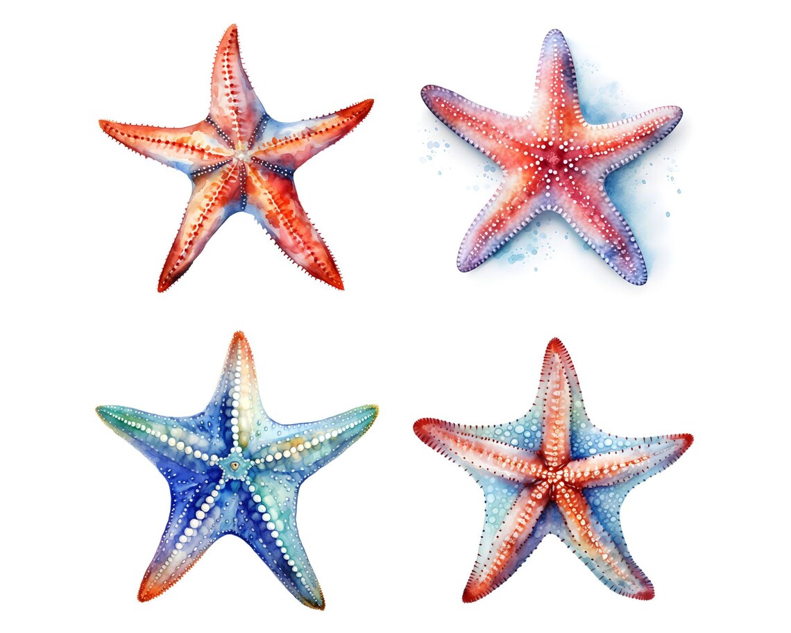 Watercolor Starfish Clipart, 24 High-quality JPG, Summer Clip Art ...
