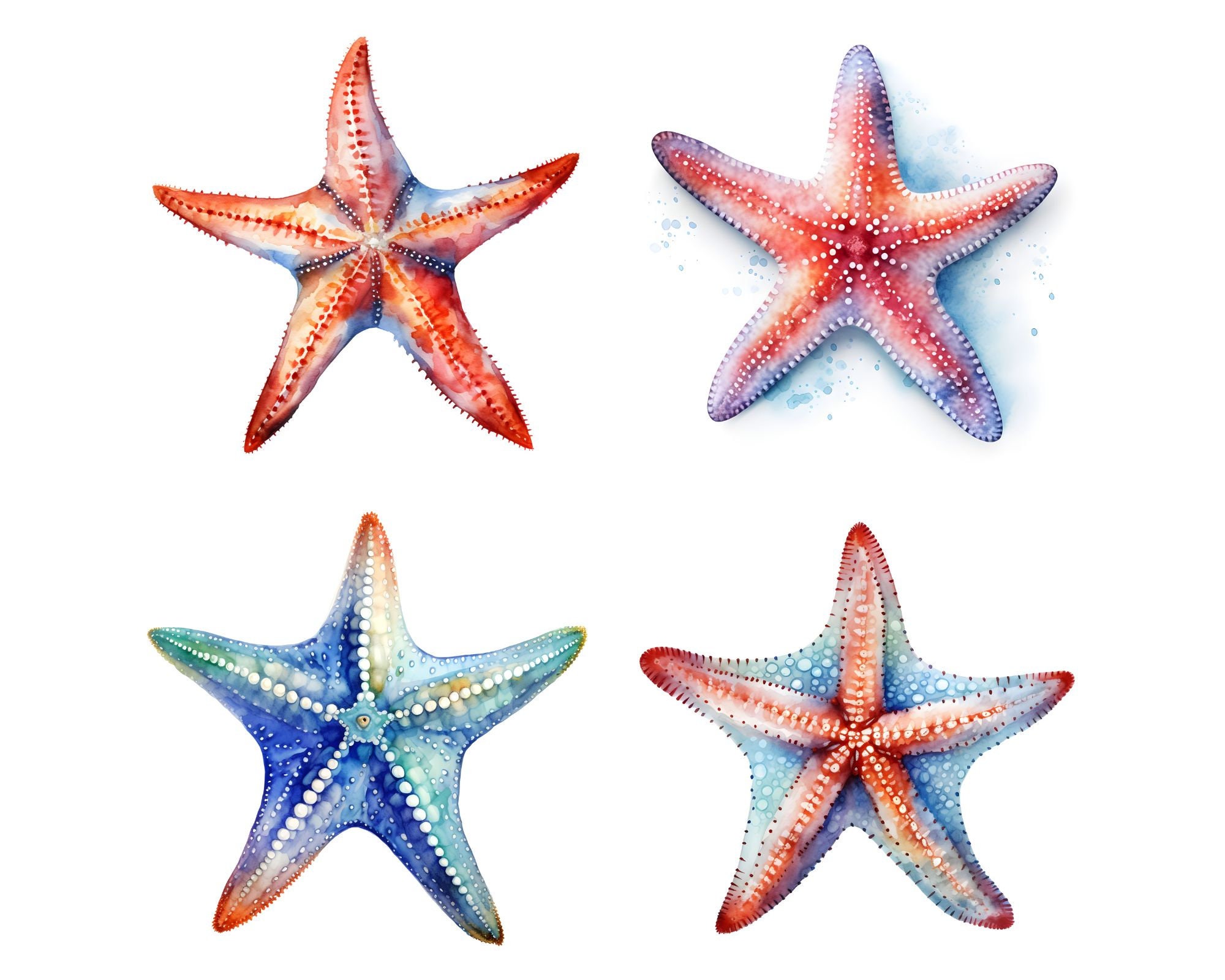 Watercolor Starfish Clipart, 24 High-quality JPG, Summer Clip Art ...