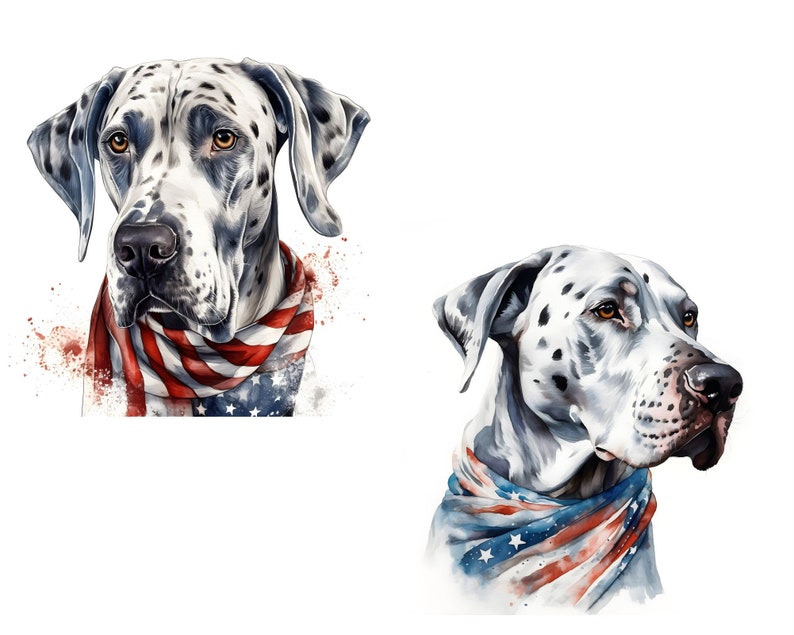 Watercolor Patriotic Great Dane Clipart, 10 High-quality Jpgs, 4th of ...