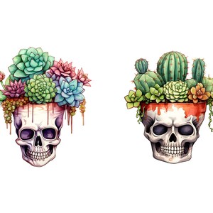 Skull Pot With Cacti Clipart, 16 PNG, Watercolor Halloween Clip Art ...