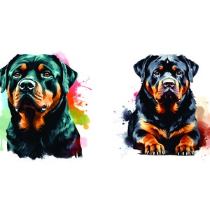 Watercolor Rottweiler Clipart, 16 High Quality Jpgs, Digital Paper ...