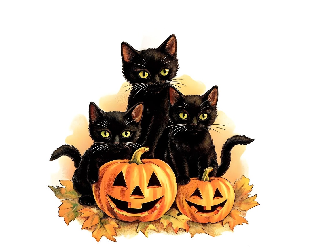 Halloween Cat Clipart, 16 Jpgs, Black Cat, Halloween Pumpkin, Kitten ...