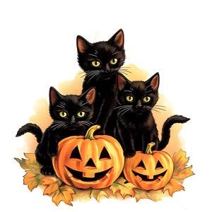Halloween Cat Clipart, 16 Jpgs, Black Cat, Halloween Pumpkin, Kitten ...