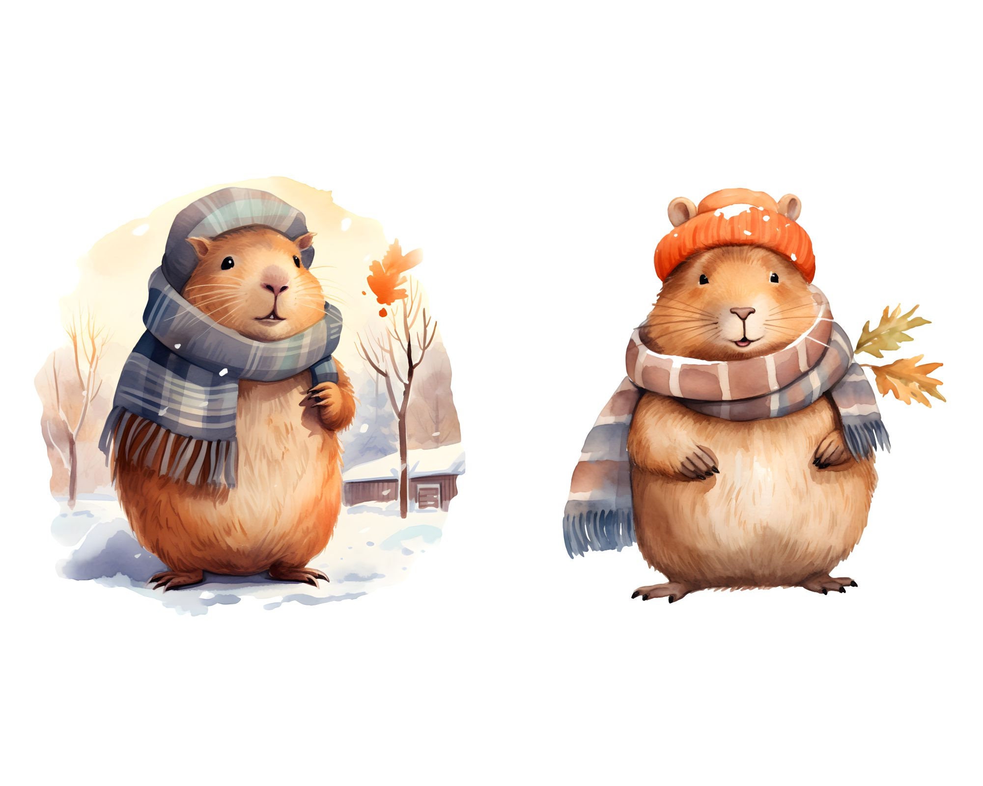 Winter Capybara Clipart, 10 PNG, Winter Clipart, Animal Clipart, Animal ...