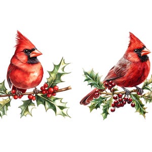 Christmas Red Cardinal Clipart, 16 JPG, Cardinal on A Holly Branch ...