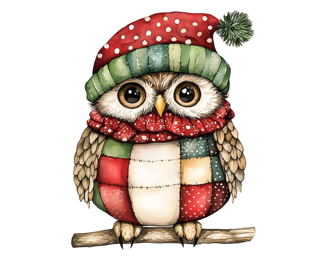 Cute Christmas Owl Clipart, 14 JPG, Whimsical Xmas Clip Art, Paper ...