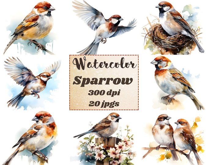 Sparrow Watercolor Clipart Bundle, Colorful Sparrow Set, Nursery Decor ...