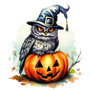 Halloween Witch Owl Clipart, 16 Jpgs, Watercolor Owl, Halloween Owl ...