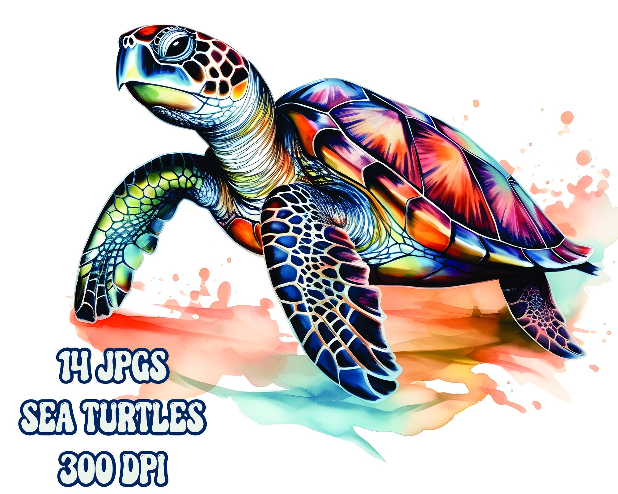 Watercolor Sea Turtle Clipart, 14 High Quality Jpgs, Sea Turtle Art ...