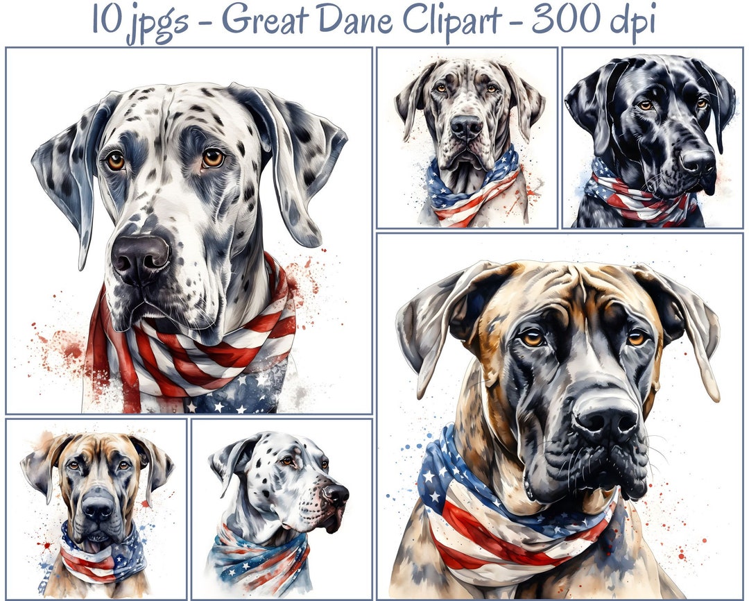 Watercolor Patriotic Great Dane Clipart, 10 High-quality Jpgs, 4th of ...