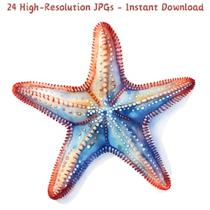 Watercolor Starfish Clipart, 24 High-quality JPG Files for Summer ...
