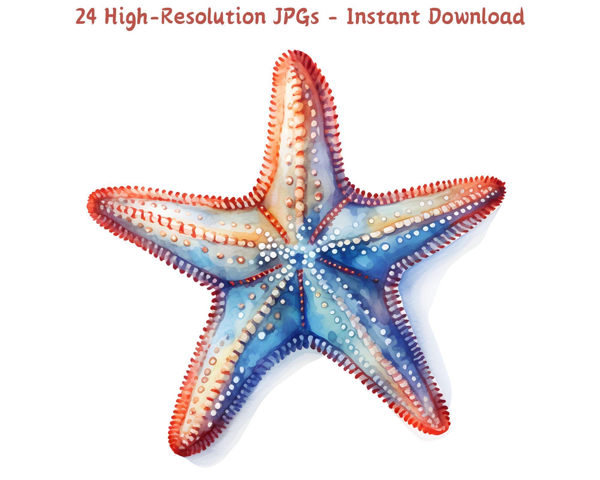 Watercolor Starfish Clipart, 24 High-quality JPG Files for Summer ...