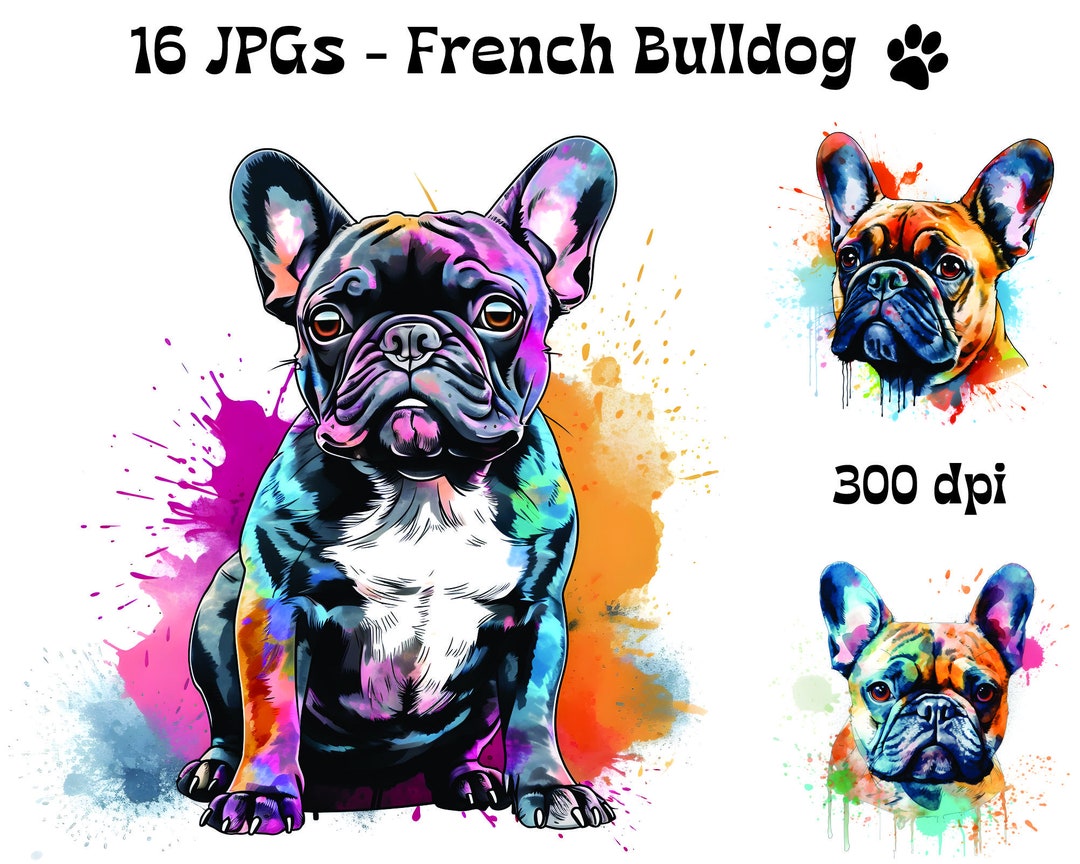French Bulldog Watercolor Clipart, 16 High Quality Jpgs, Frenchie ...