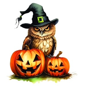 Halloween Witch Owl Clipart, 16 Jpgs, Watercolor Owl, Halloween Owl ...