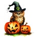 Halloween Witch Owl Clipart, 16 Jpgs, Watercolor Owl, Halloween Owl ...