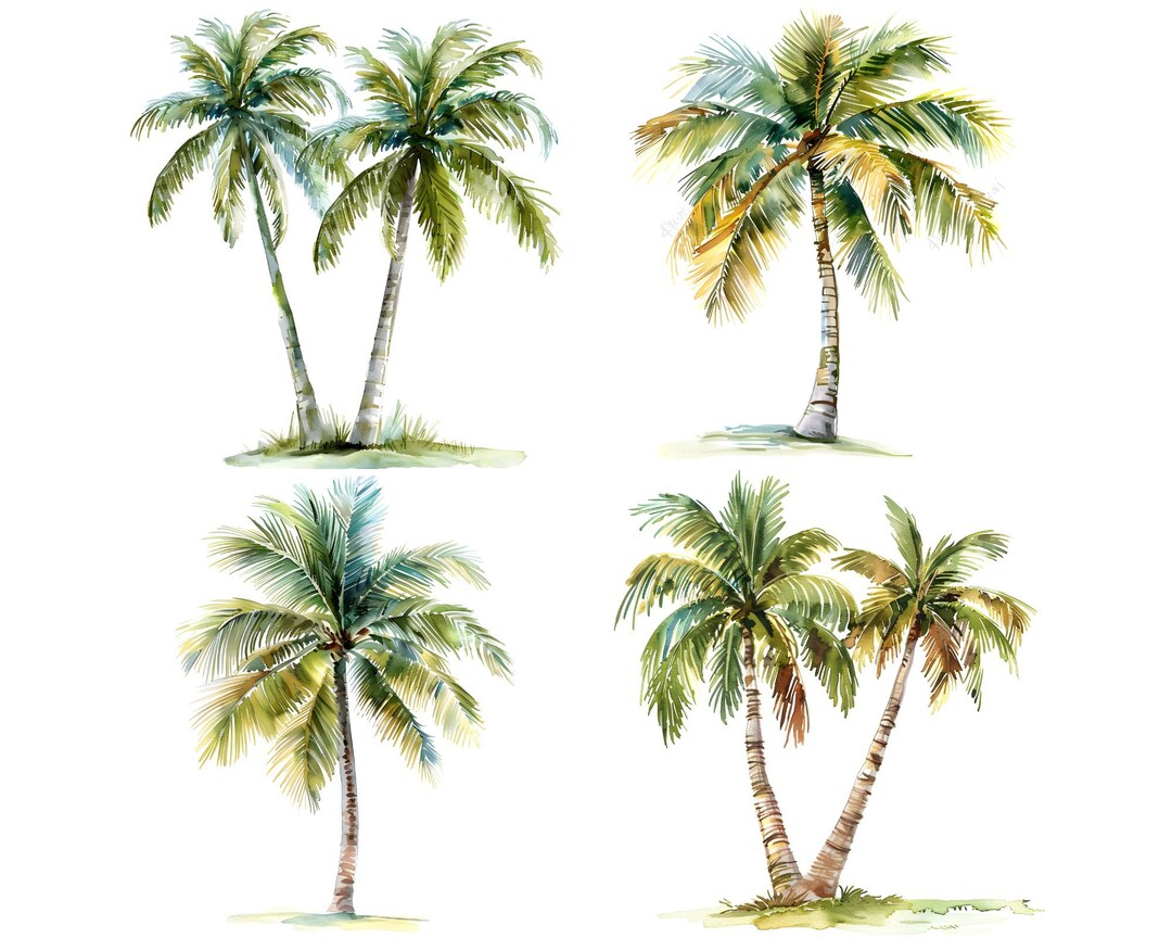 Watercolor Palm Tree Clipart, 40 High Quality JPG, Coconut Palm Tree ...