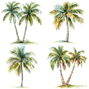 Watercolor Palm Tree Clipart, 40 High Quality JPG, Coconut Palm Tree ...
