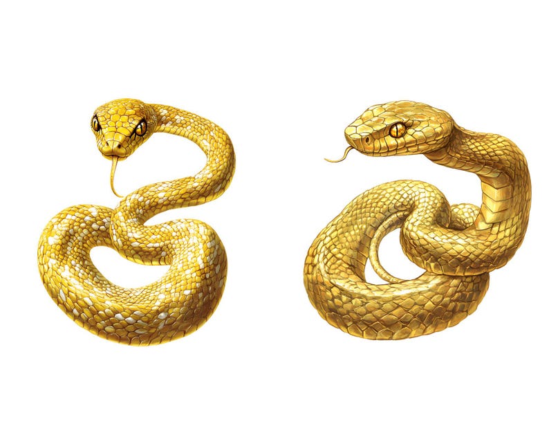 Golden Snake Clipart: Year of the Snake PNG Images (digital Download ...