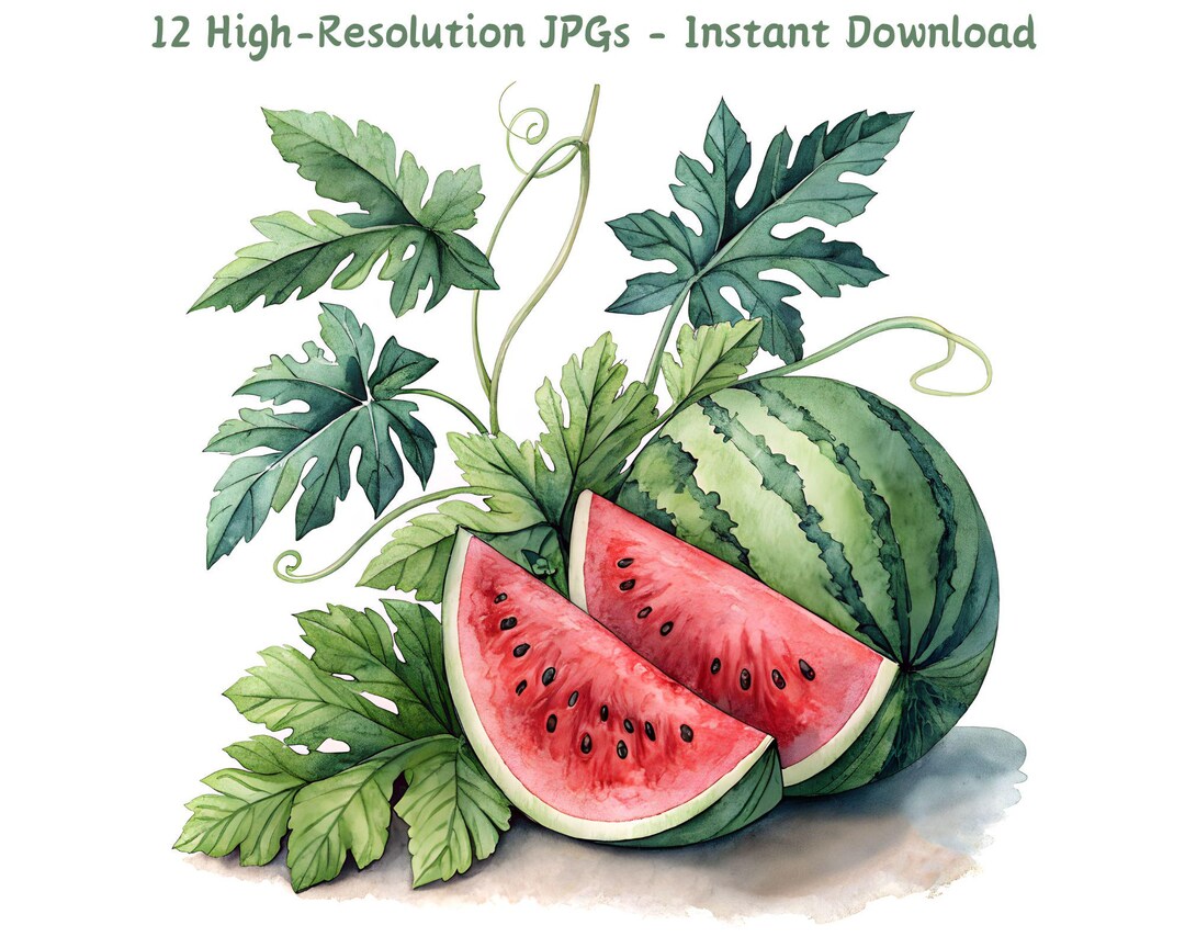 Watermelon Watercolor Clipart, 12 JPG Files, Summer Fruit Clipart ...